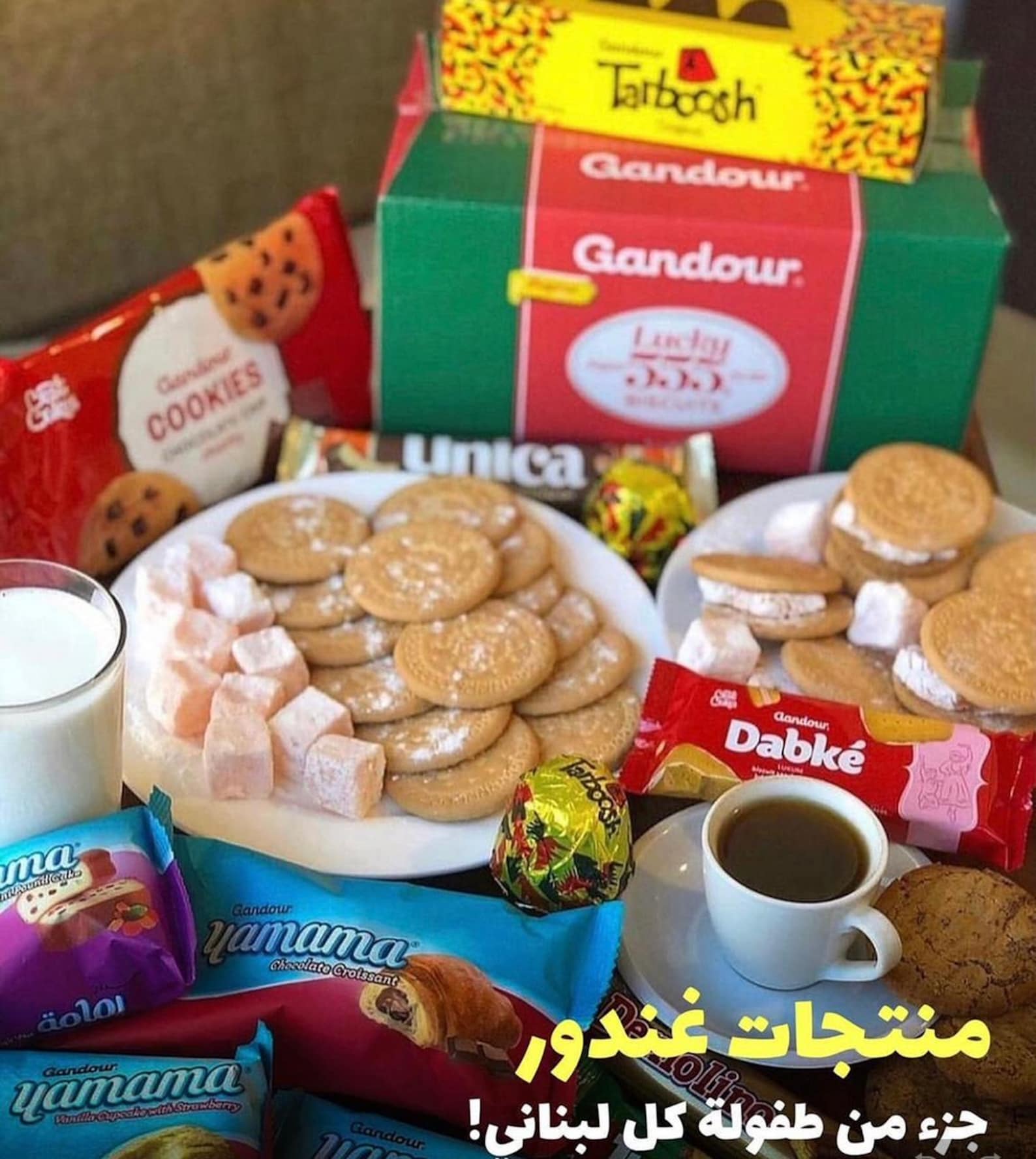 Lebanese Treat Box | Famous Childhood Lebanese Snacks | Unica | Gandour ...
