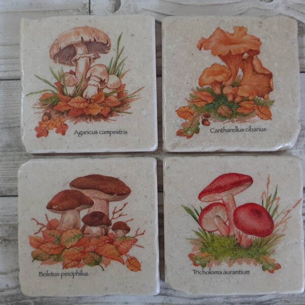 Mushroom Tea Set - Etsy