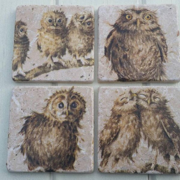 Owl Coasters - Etsy