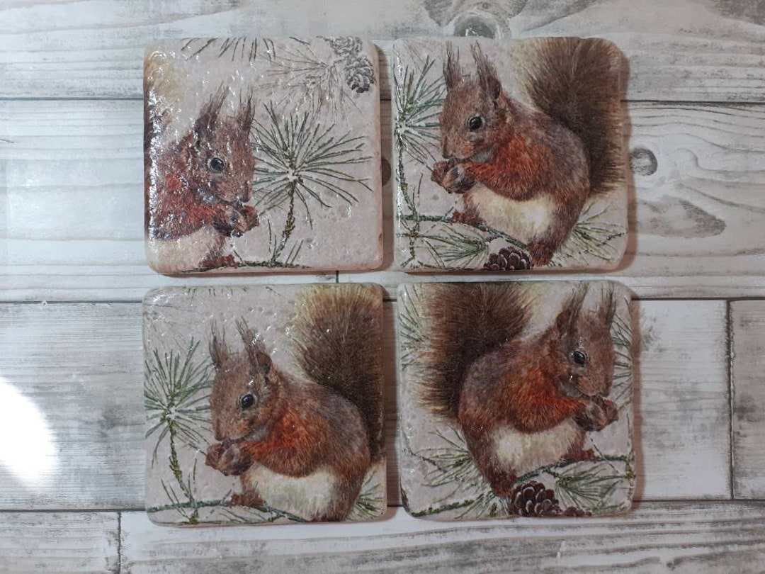 Squirrel Set of 4 Natural Stone Coasters - Etsy