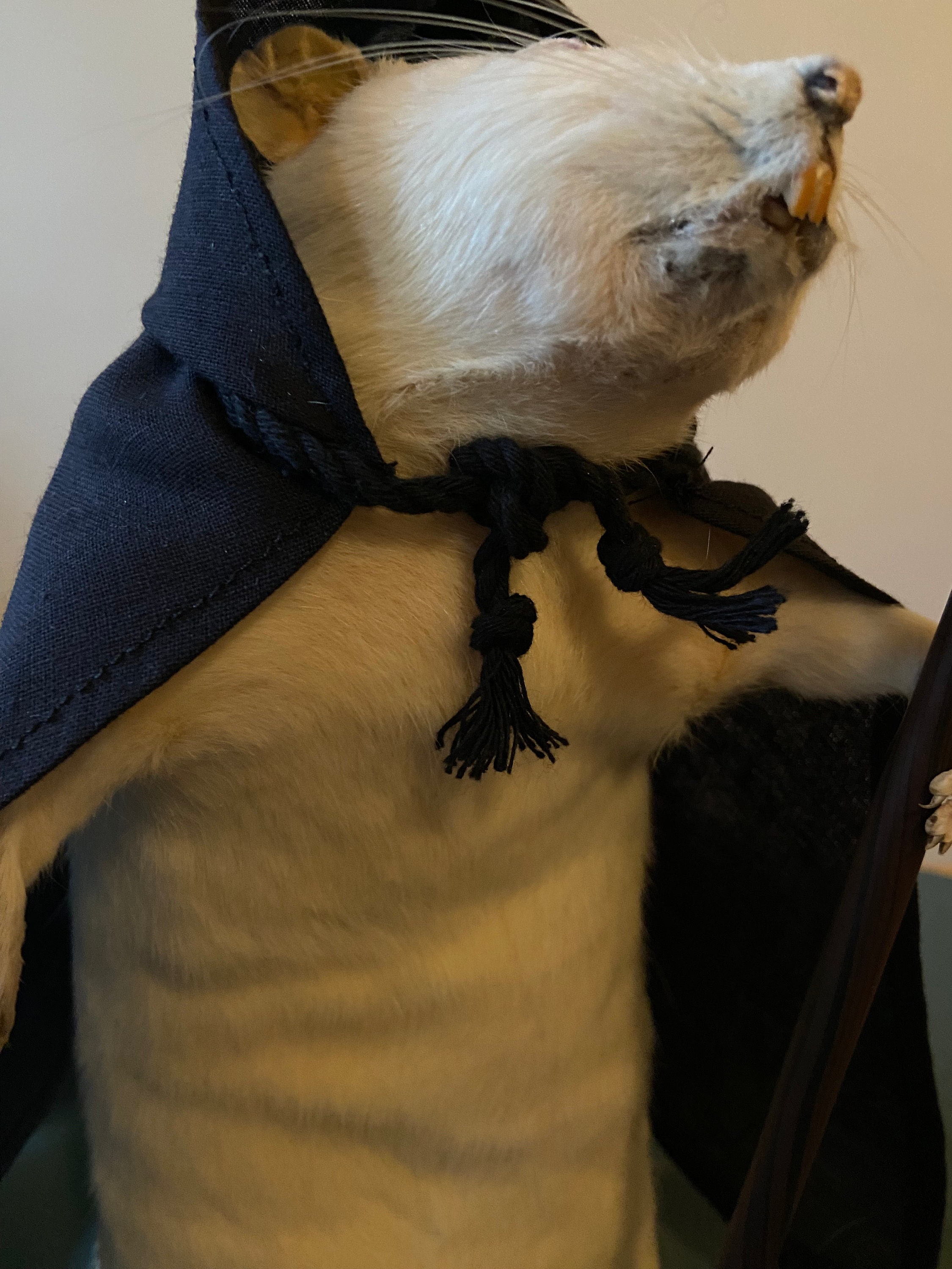 Grim Rat Reaper the Death of Rats Taxidermy - Etsy