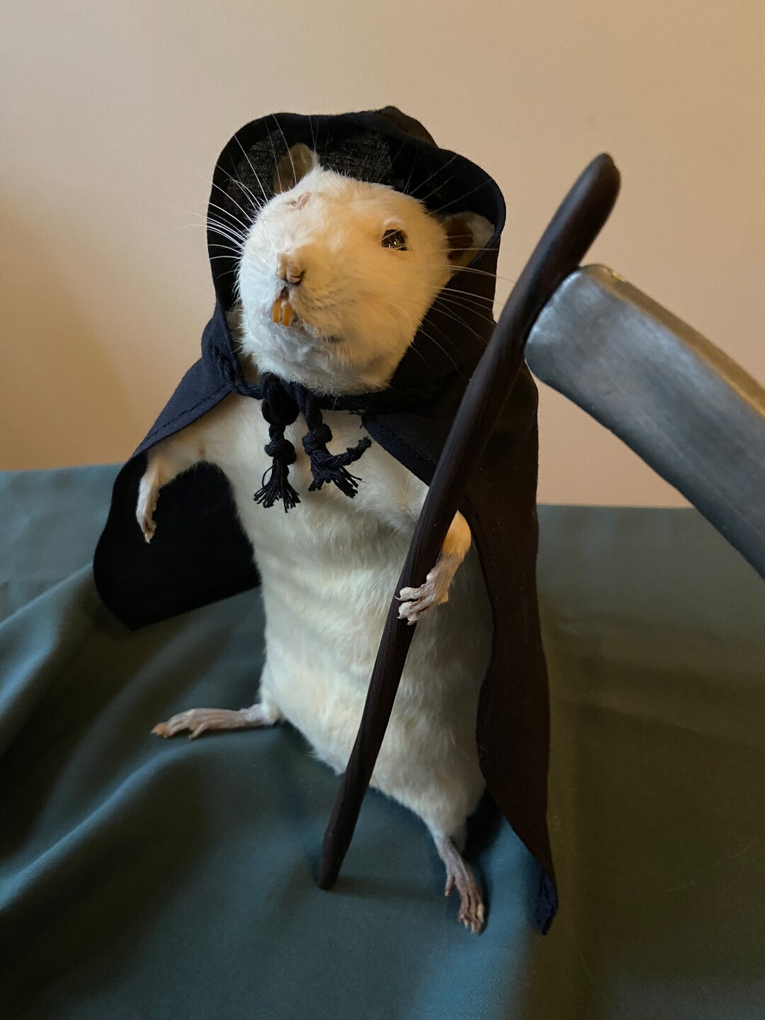 Grim Rat Reaper the Death of Rats Taxidermy - Etsy