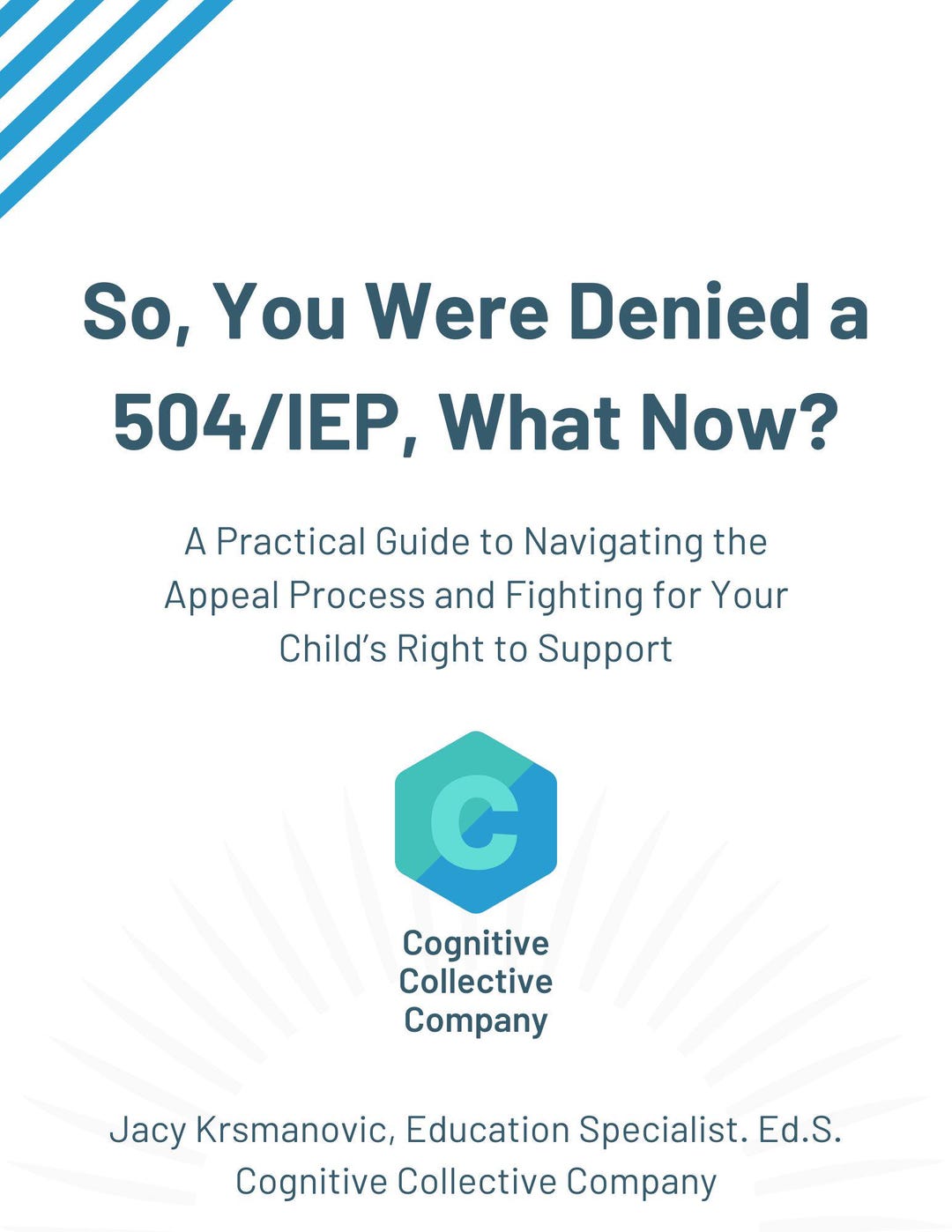 So, Your Child Was Denied a 504/IEP: What Now? - Parent Advocacy Guide ...