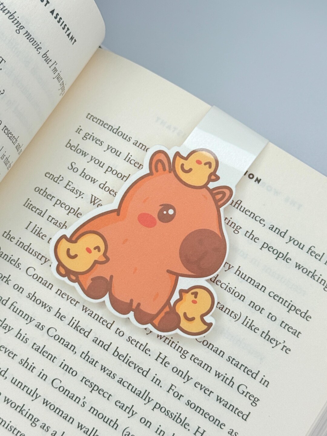 Kawaii Capybara and Ducks Magnetic Bookmark - Cute Animal Themed Gift ...