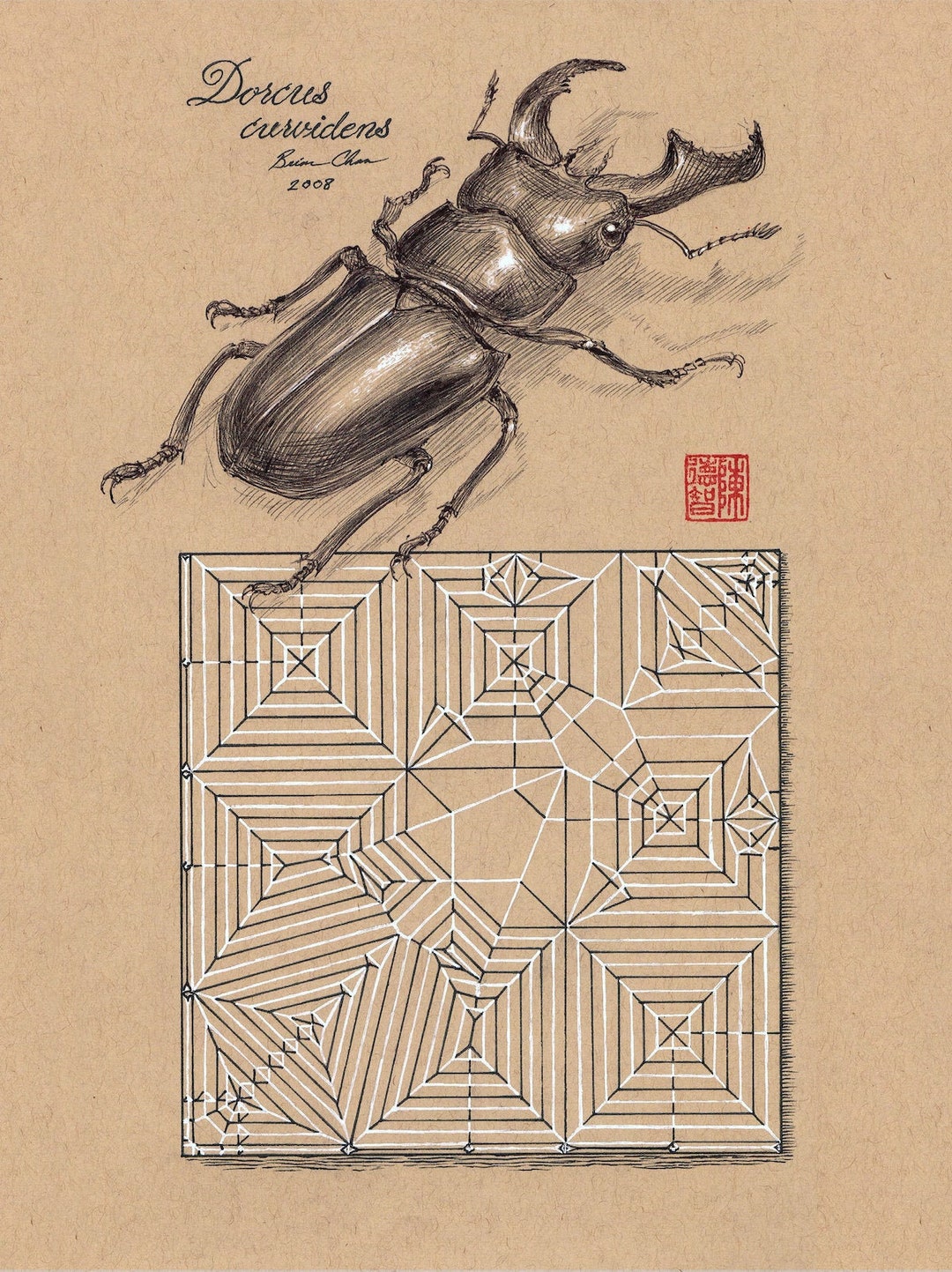 Stag Beetle: Illustrated Crease Pattern - Etsy
