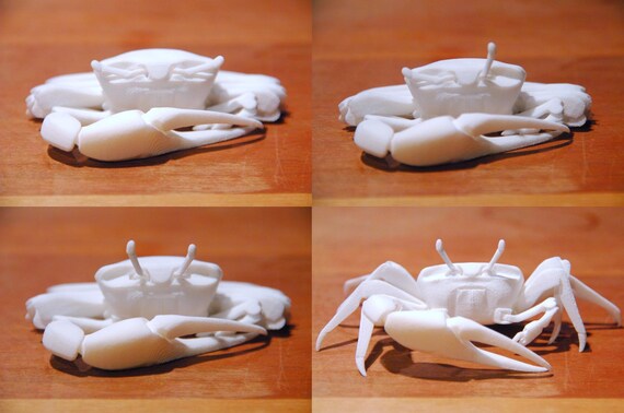 Articulated Fiddler Crab Uca Pugilator — Brian Chan Designs