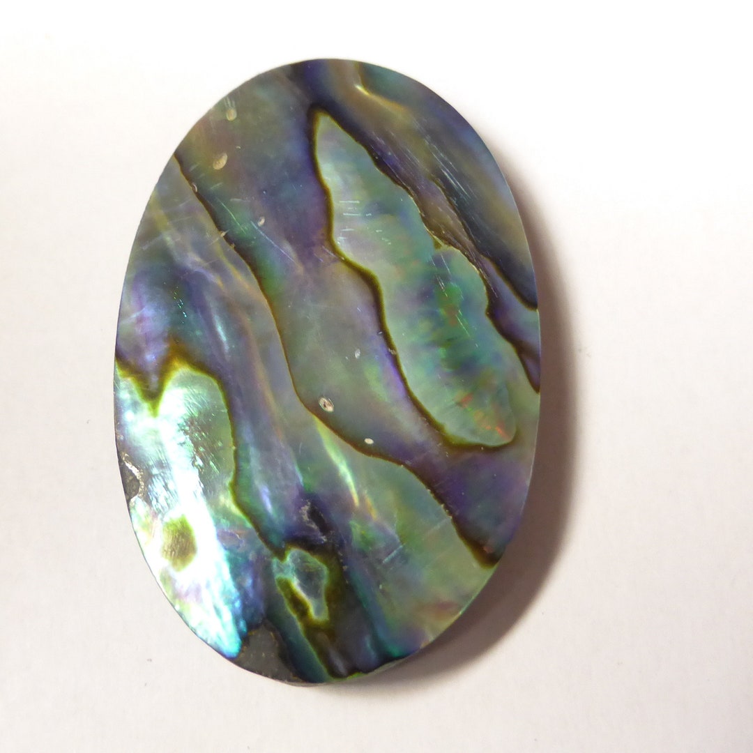 41 X 26 X 6mm Paua Shell Natural Abalone Shell Oval - Etsy