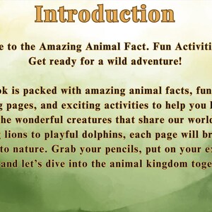 Welcome to the Jungle Children's Activity Book - Etsy