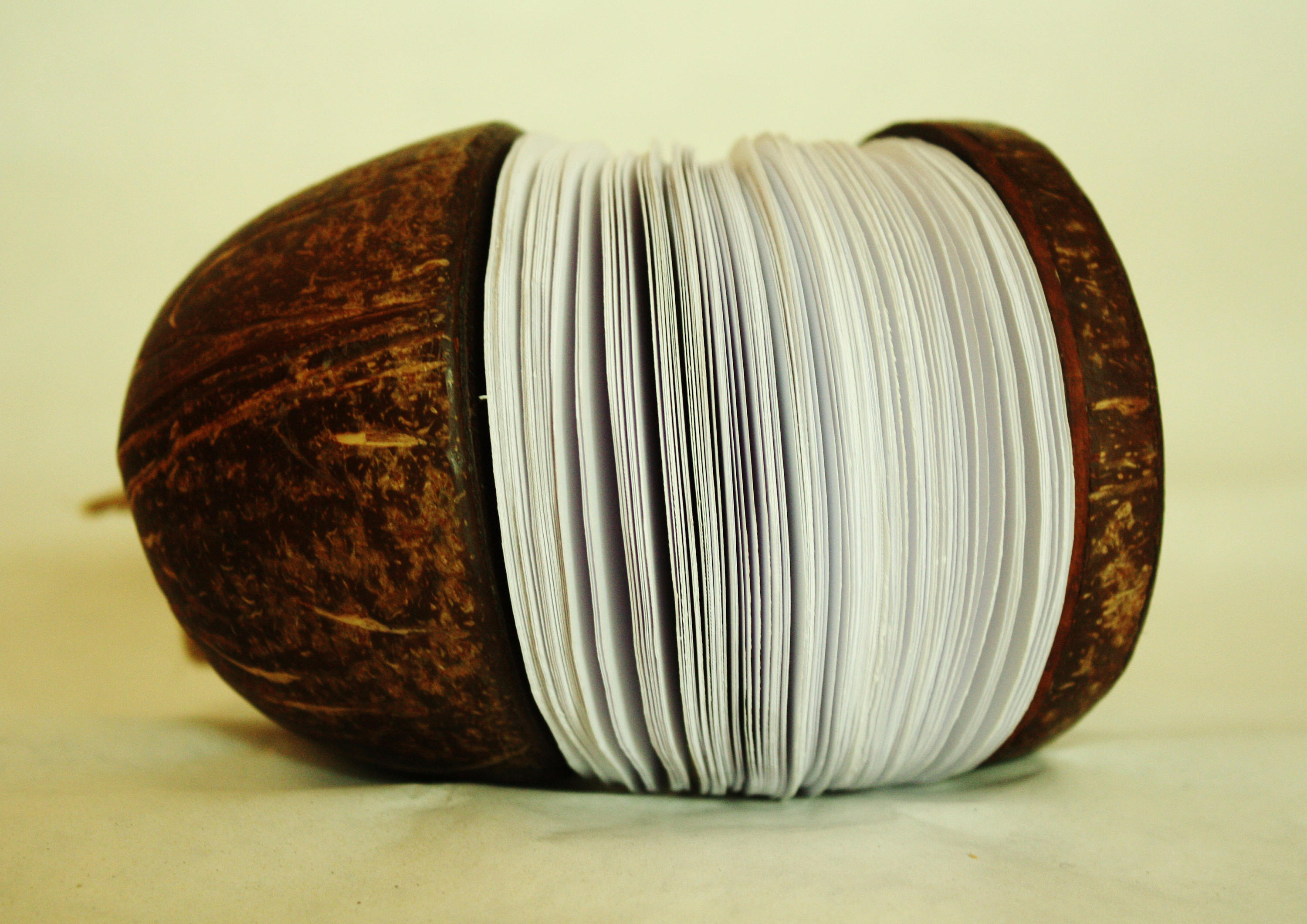 The Coconut Book, Blank Notebook, Notebook, Handmade Bookbinding of ...