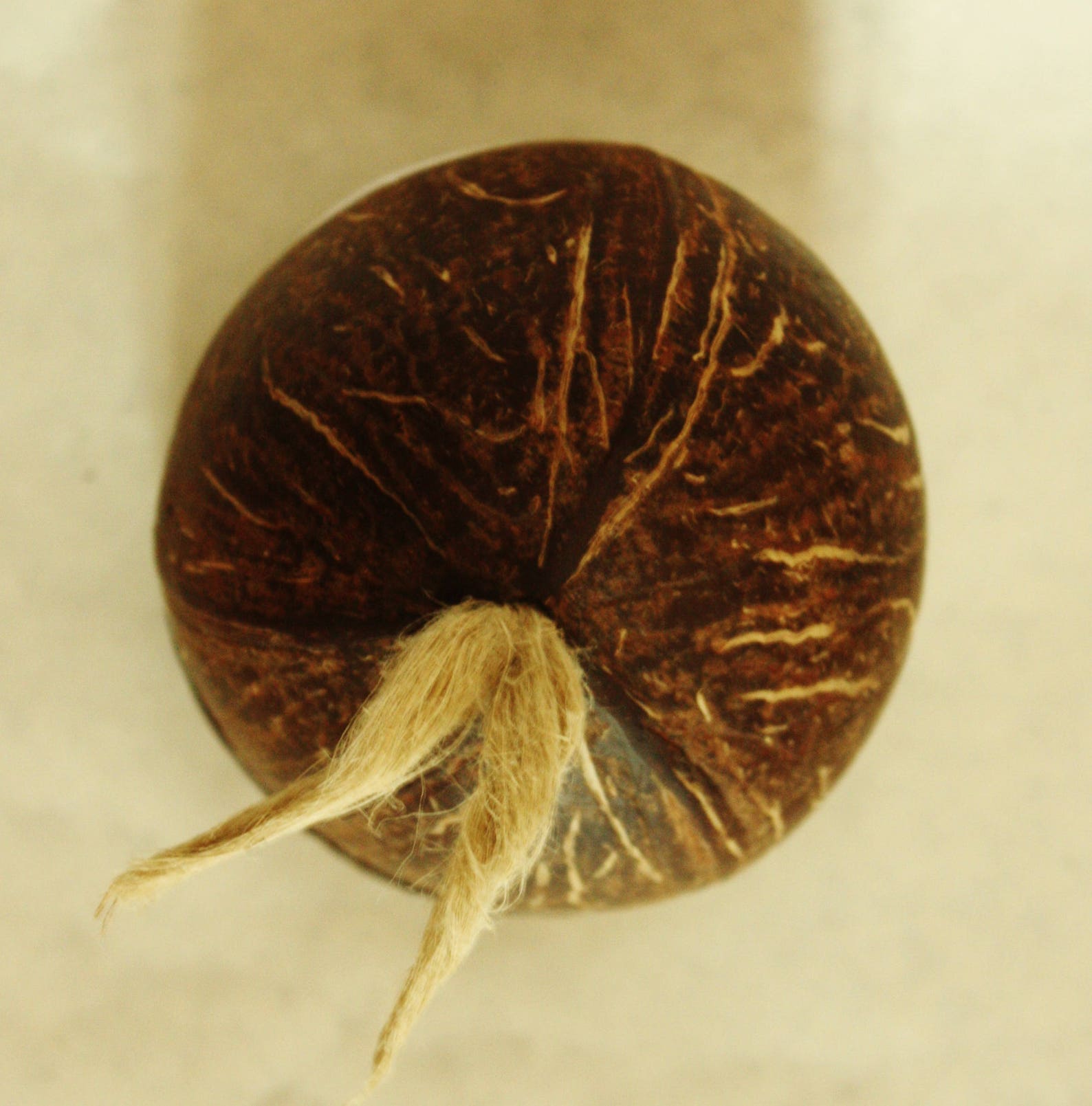 The Coconut Book, Blank Notebook, Notebook, Handmade Bookbinding of ...