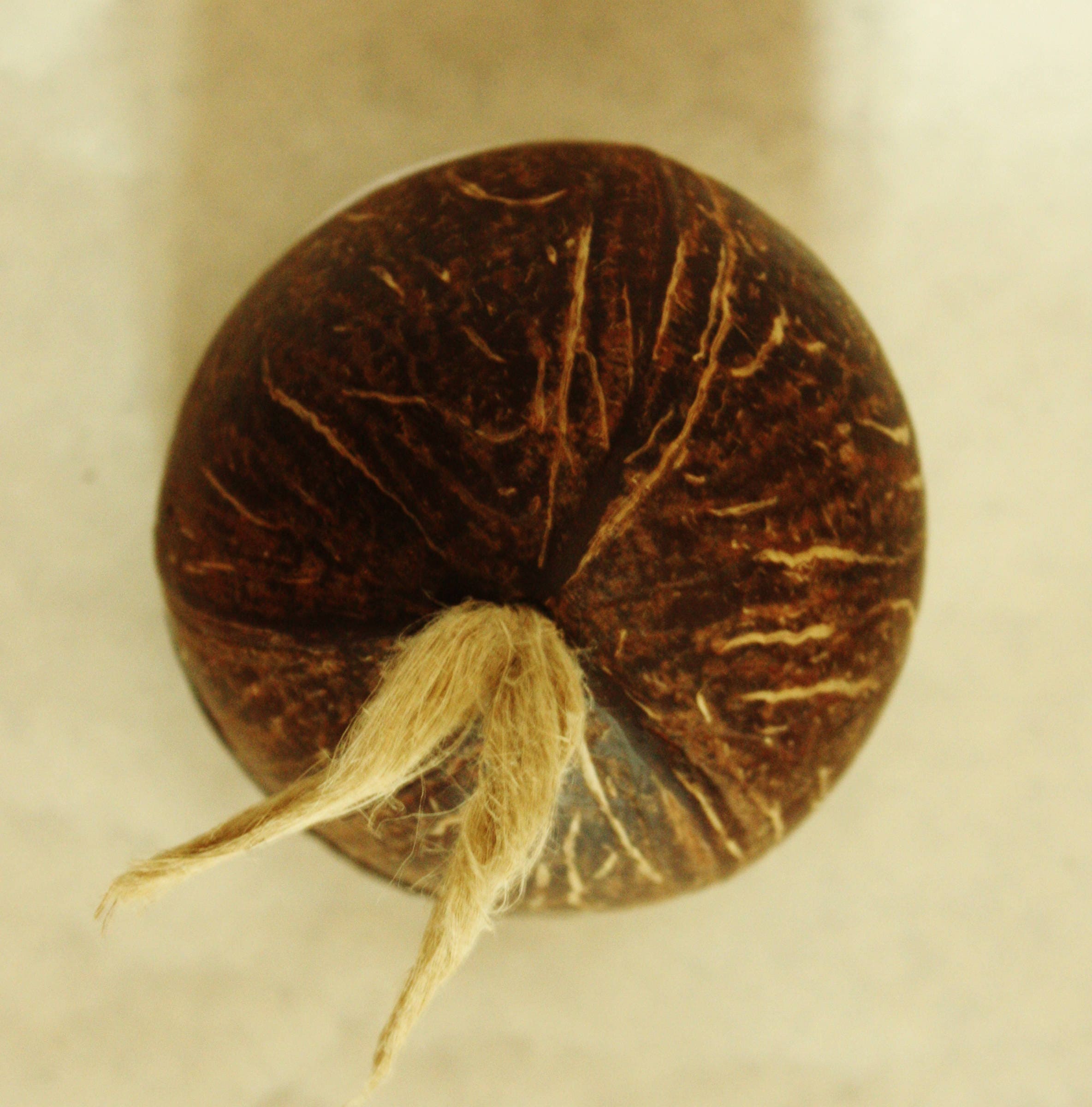 The Coconut Book, Blank Notebook, Notebook, Handmade Bookbinding of ...