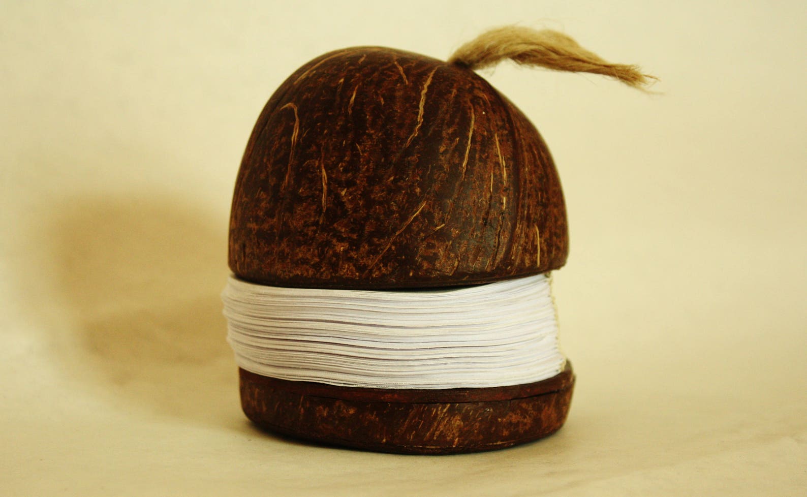 The Coconut Book, Blank Notebook, Notebook, Handmade Bookbinding of ...