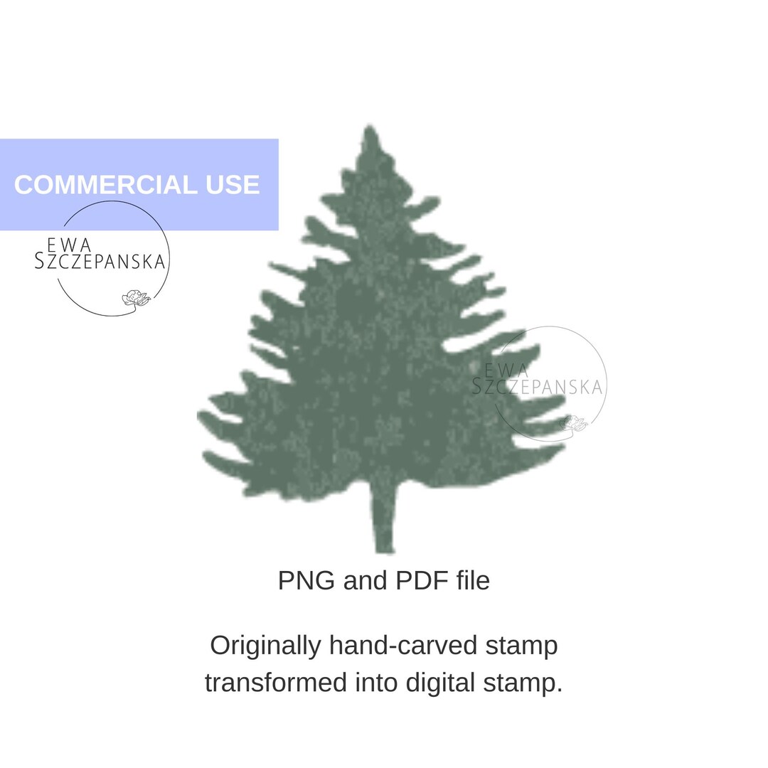 Rustic Christmas Tree Digital Stamp, Digital Evergreen Clipart for ...