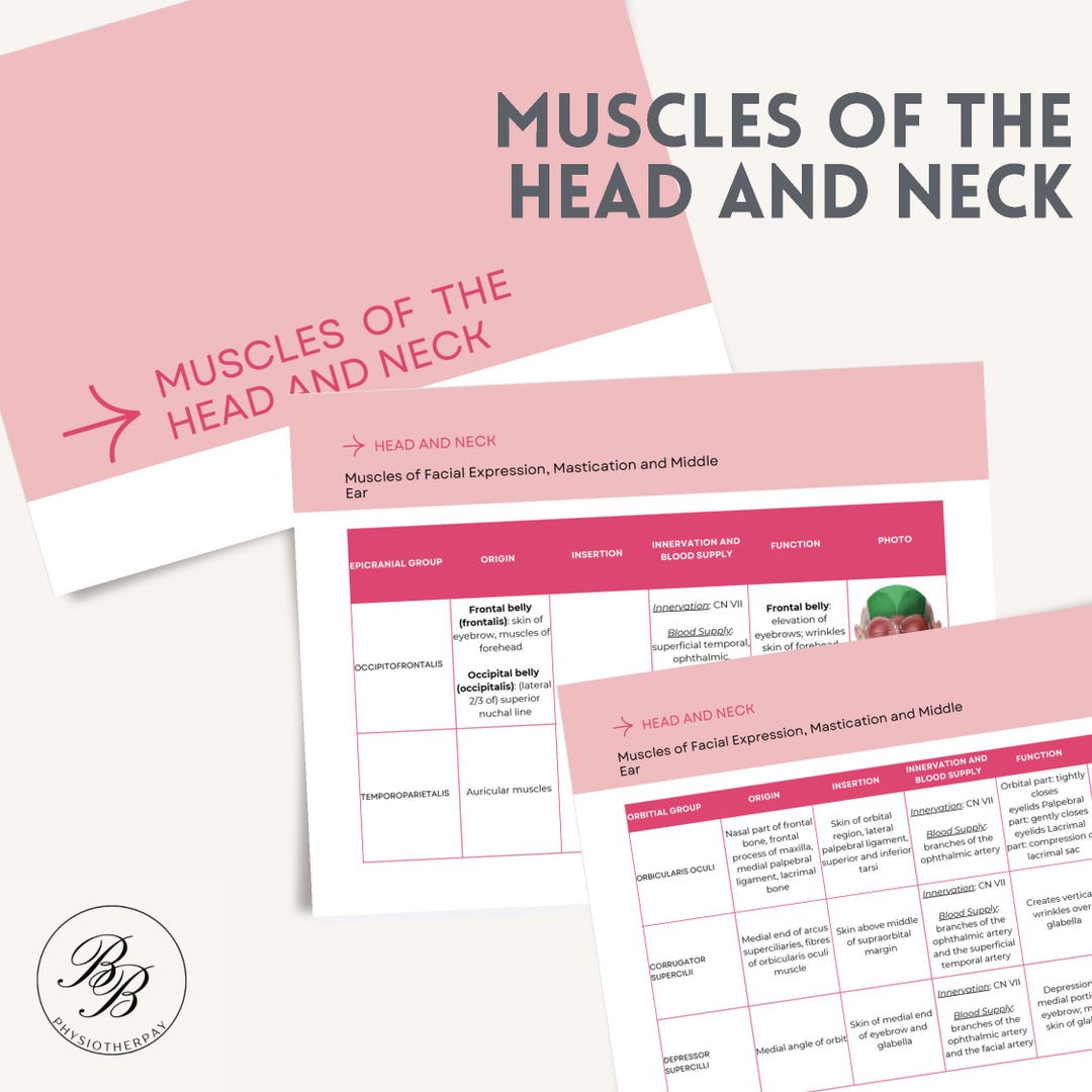 Whole Body Muscle Chart | Digital Anatomy Print | Muscle Origin ...