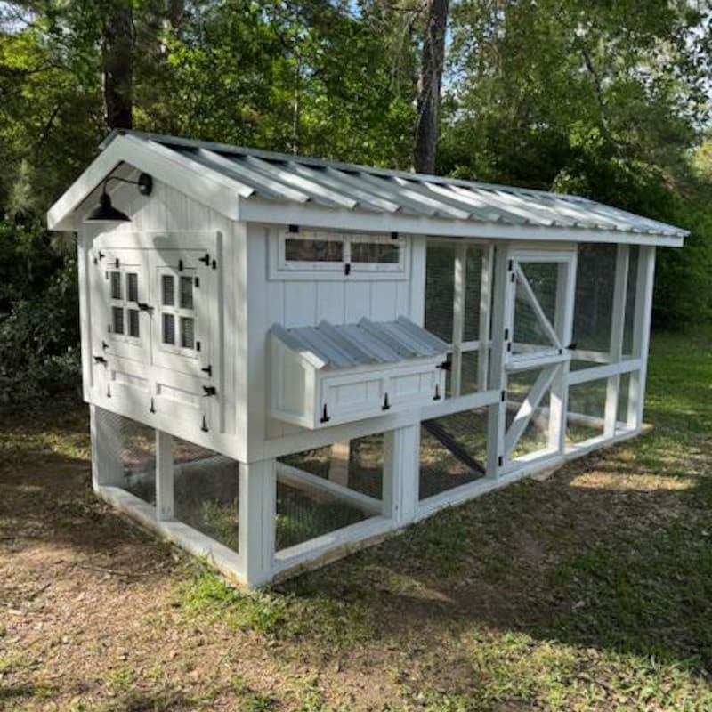 Chicken Run 12 Chickens - Etsy