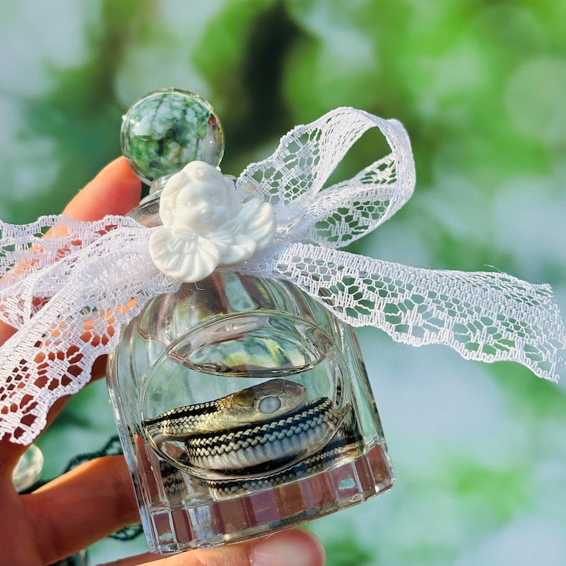 Genuine Black Wet Snake Specimen, Housed in an Angel Crystal Bottle ...