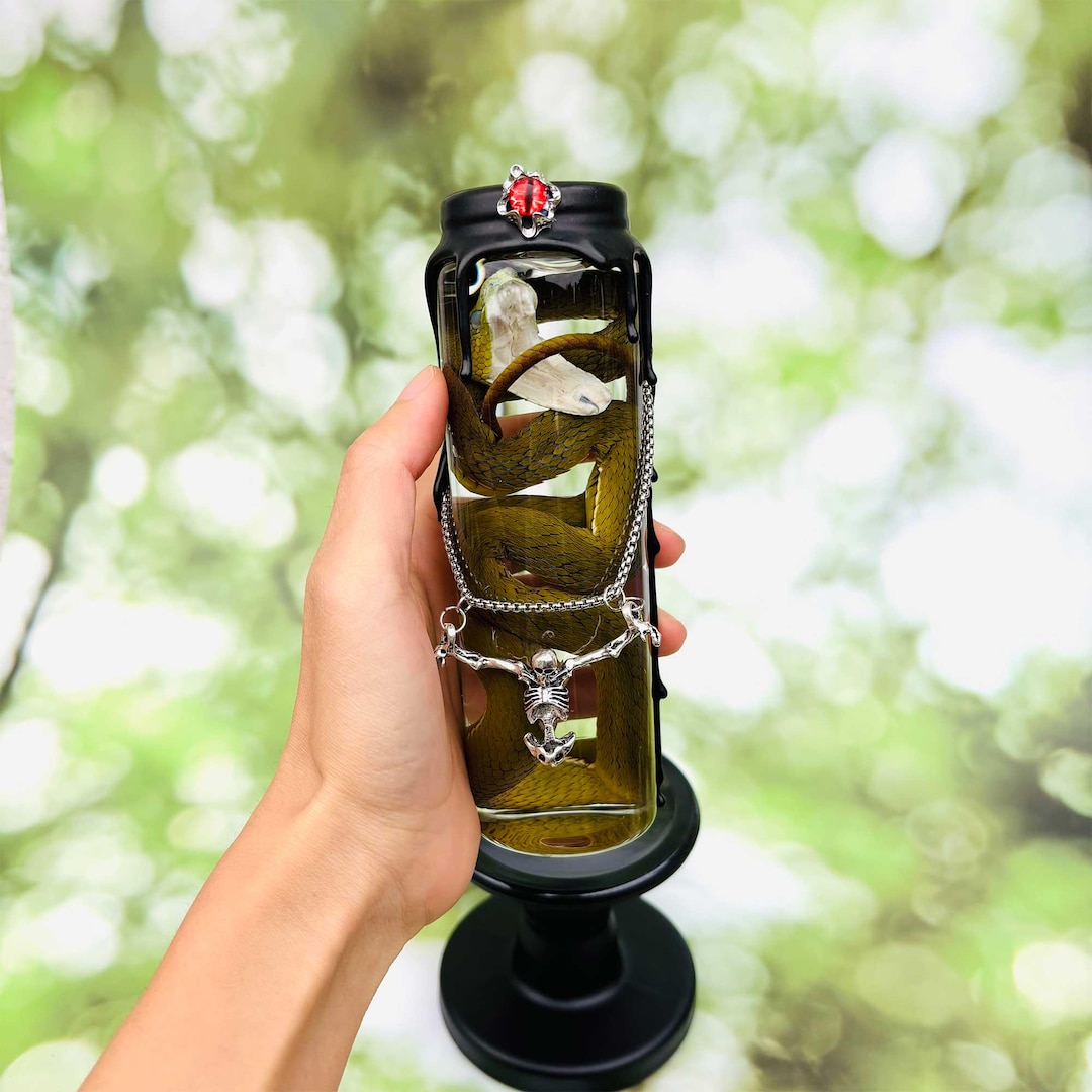 Real Cute Snake Wet Specimen, Housed in A Glass Bottle, Gothic Style ...