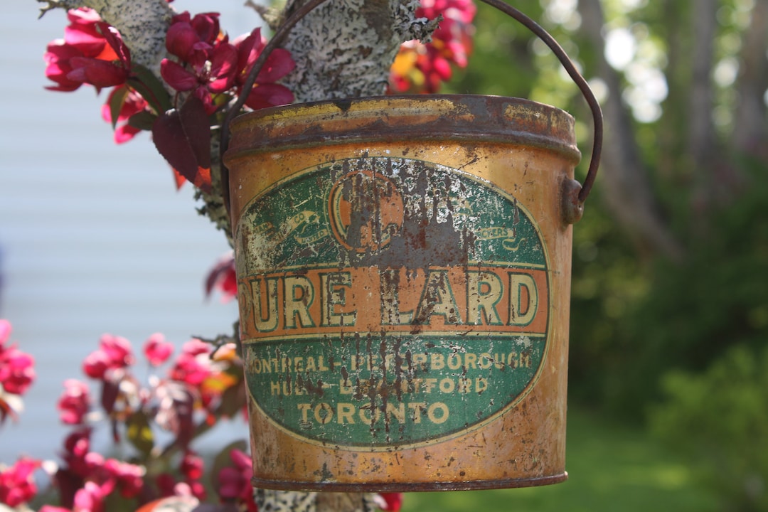 Rusty Vintage Lard Tin Pail With Handle Pure Lard Toronto - Etsy