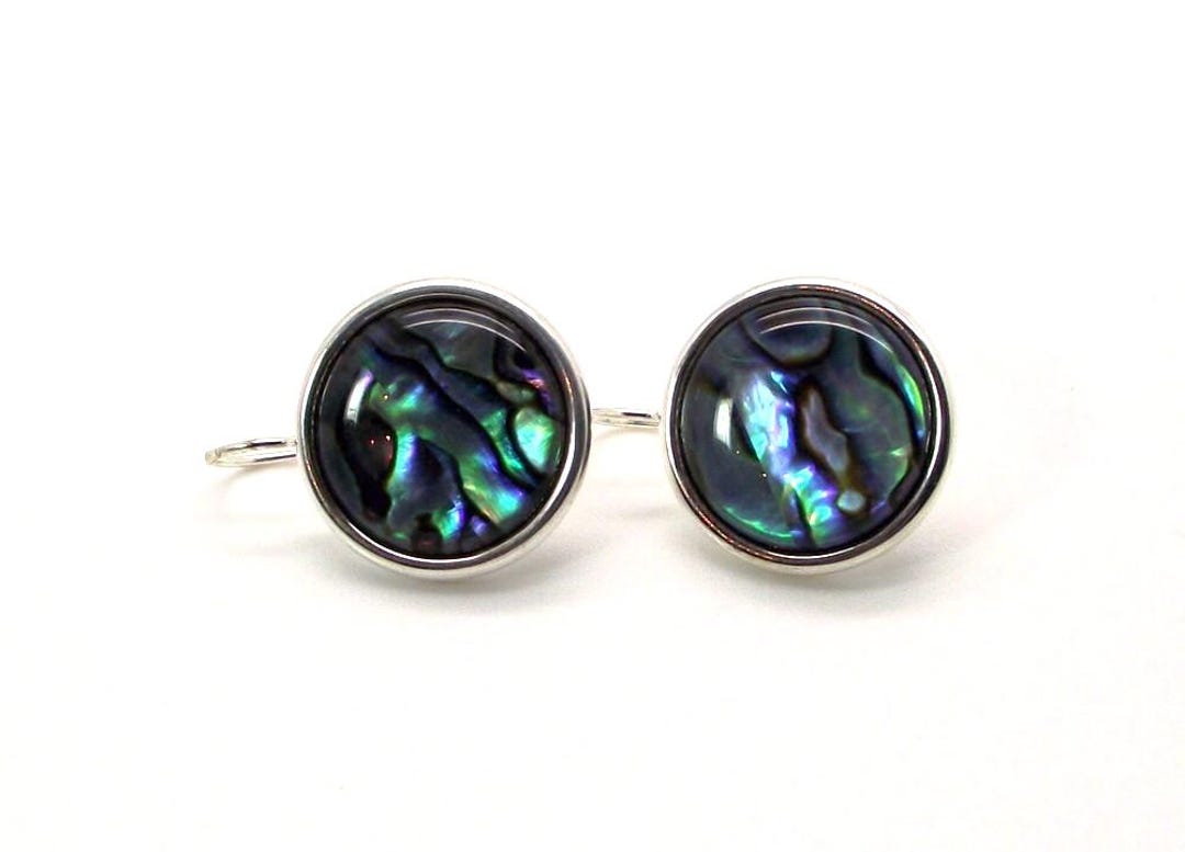 Seaside Delight Natural Paua Shell Earrings – Blue Paua Shell Earrings ...