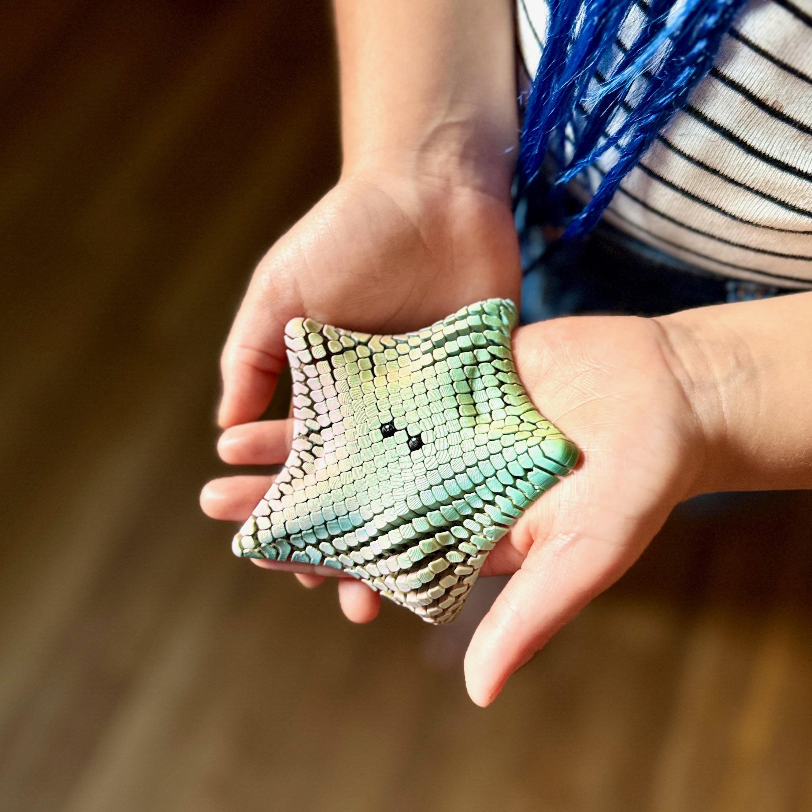 3D Printed Starfish Fidget Toy – Hyper Flexible Multicolor Filament - Etsy