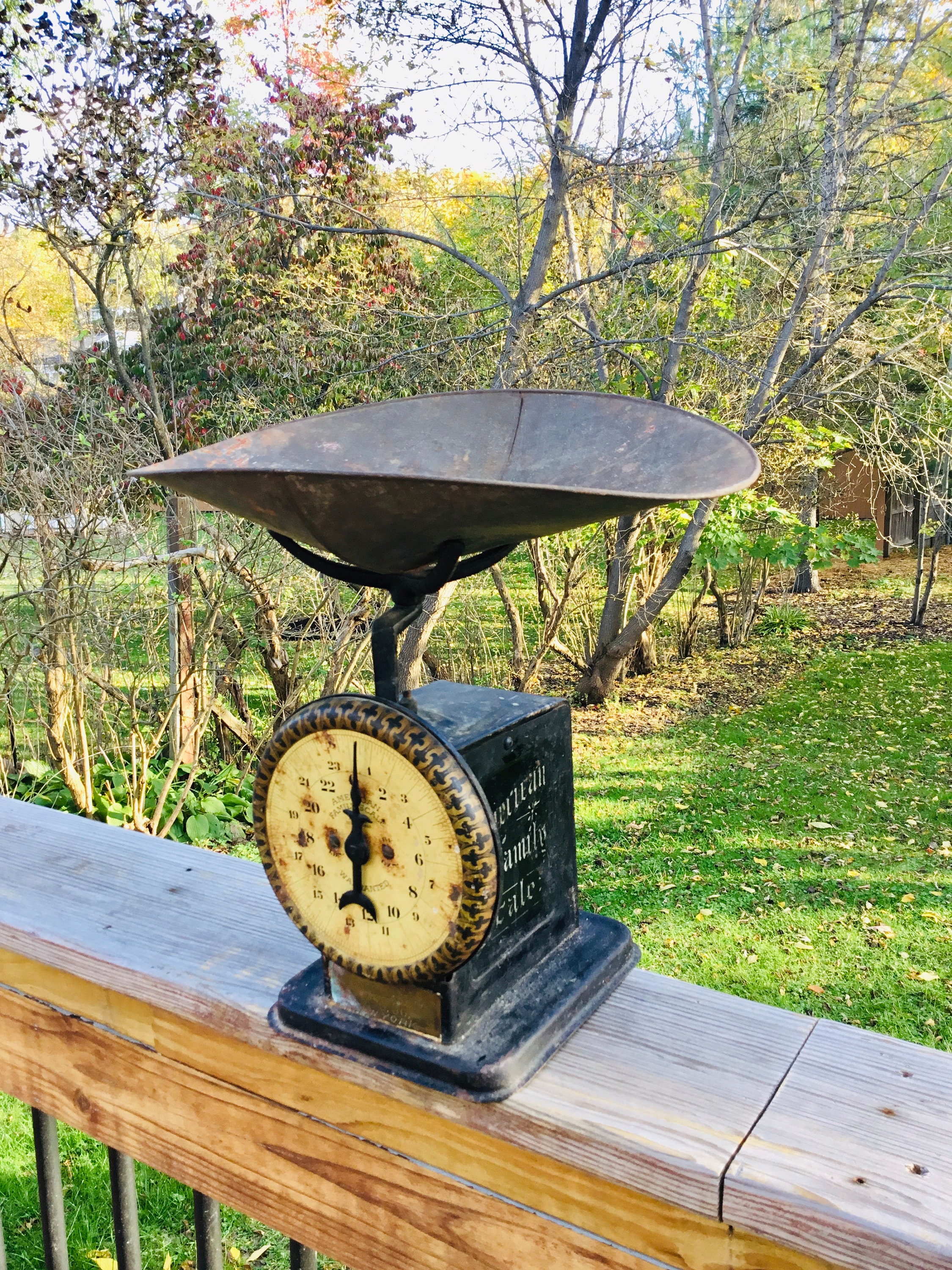 Vintage / Antique Hanson Brothers 25 Lb Kitchen Scale - Etsy