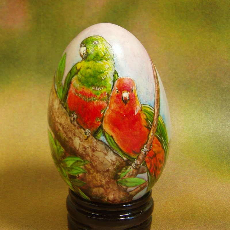 Hand Painted Parrot - Etsy