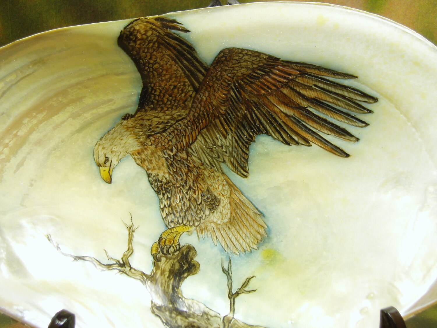 Eagle/ Hand Painted Abalone Shell/ Hand Painted Eagle/ Sea Shell Art ...