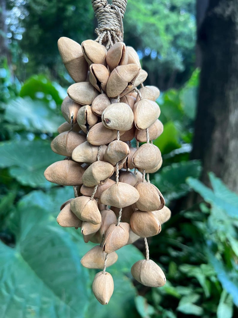 Chacha,fruitshell Bell,natural Handmade Rattles,sound Healing ...