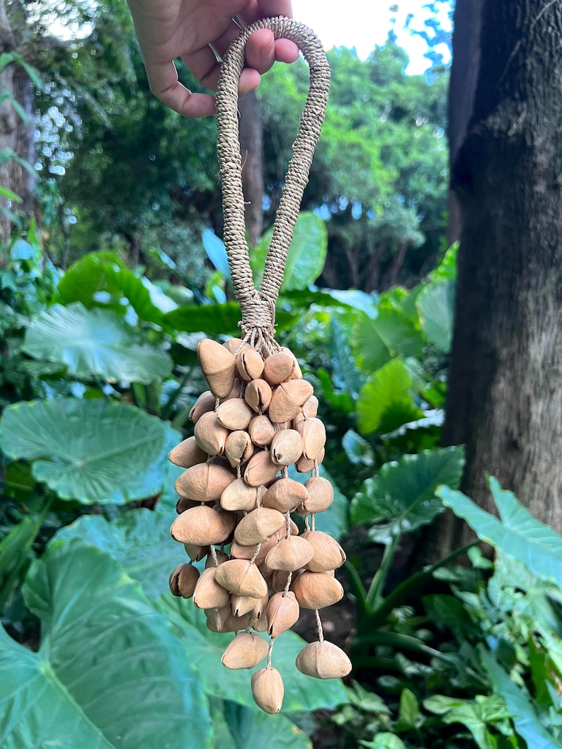 Chacha,fruitshell Bell,natural Handmade Rattles,sound Healing ...