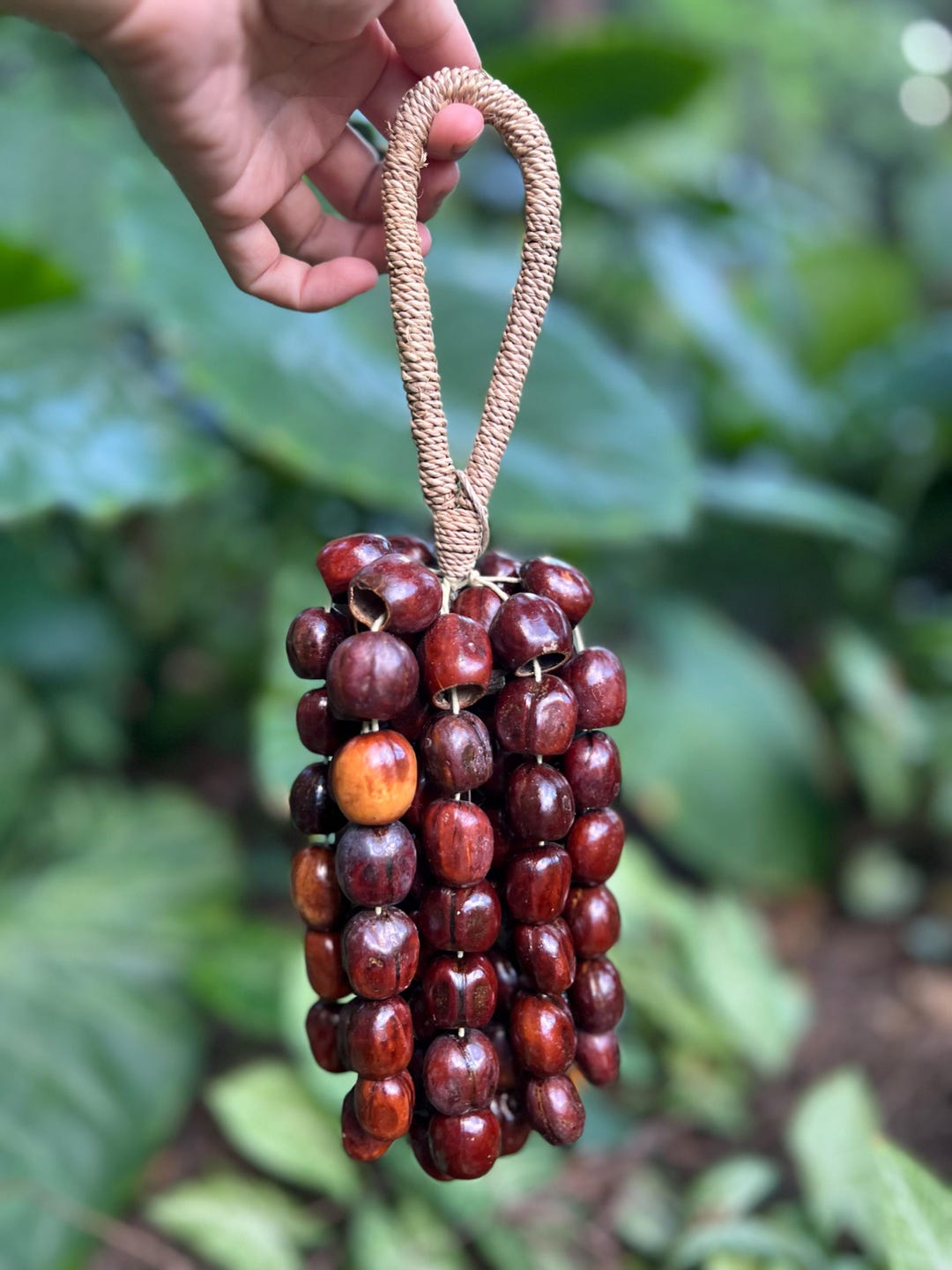 Pala,fruit Shell Bell,natural Handmade Rattles,sound Healing,meditation ...