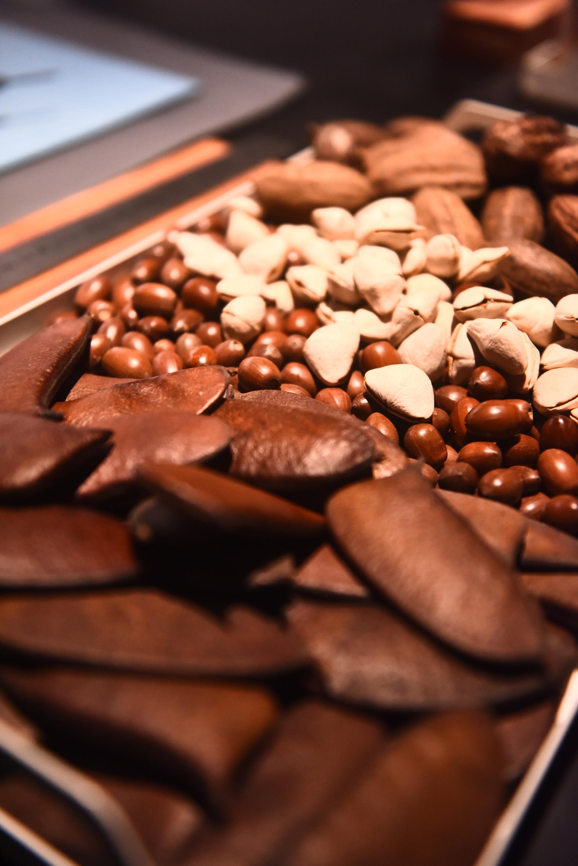 Sound Healing｜meditation｜zen｜yogi｜sound Therapy｜nut Shell Shaker｜seed ...