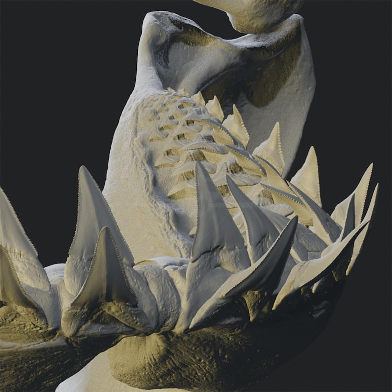 Great White Shark Jaw 3D Model (carcharodon Carcharias) - Museum ...