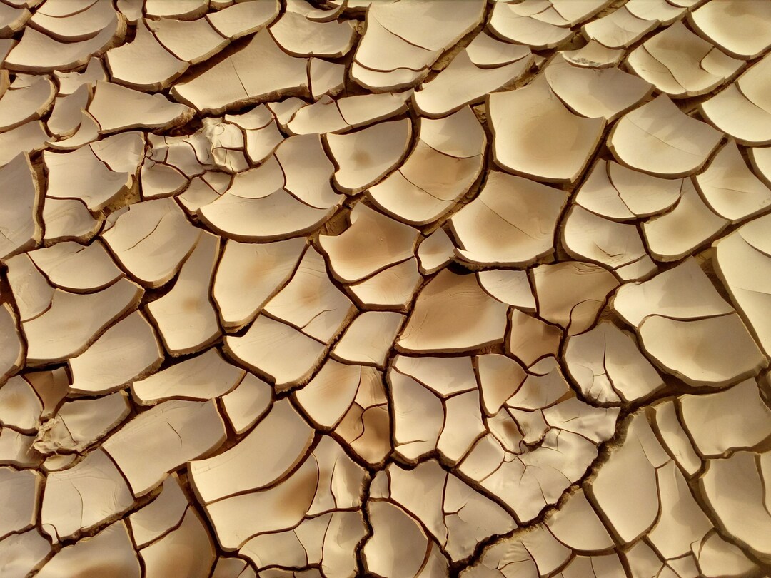 Cracked Earth Texture Photo | Desert Soil Pattern | Natural Abstract ...