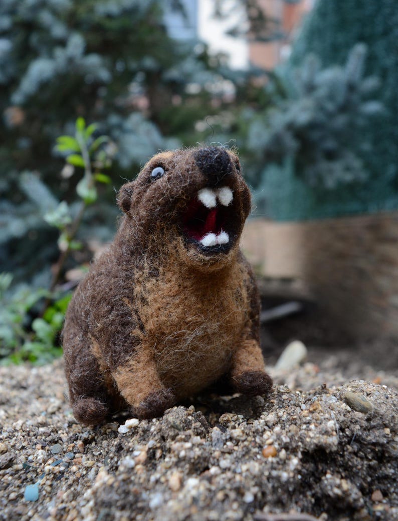 Custom Hyrax AWAWA Animal Meme. Angry Hyrax Screaming Awawa. Made to ...