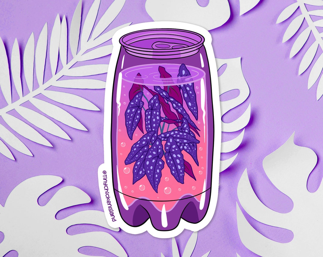 Begonia Soda Sticker, Soda Sticker, Vinyl Sticker, Begonia Maculata ...