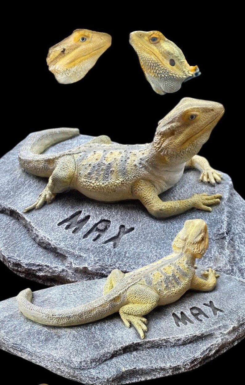 Personalized Bearded Dragon Memorial Statue, Life Size Lizard Decor ...