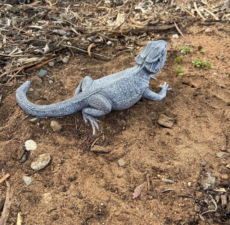 Bearded Dragon Life Sized Statue - Smallest Base - Etsy