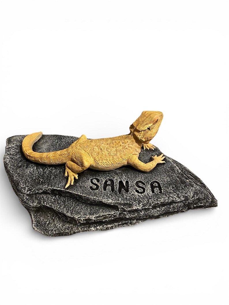 Personalized Bearded Dragon Memorial Statue, Life Size Lizard Decor ...