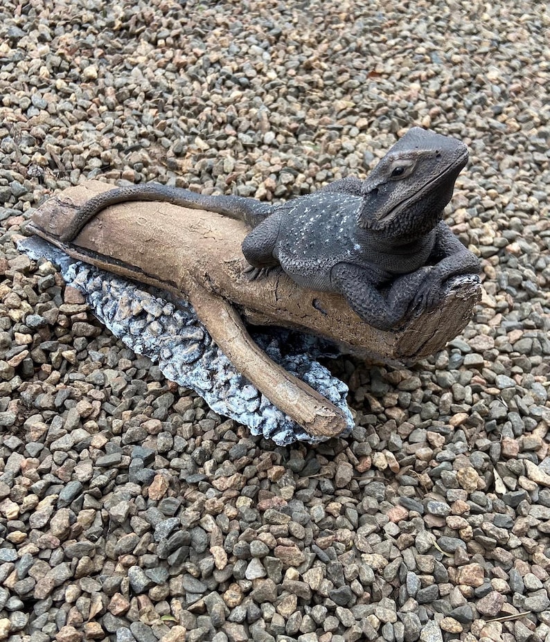 Life Sized Bearded Dragon Memorial Statue, Realistic Lizard Figurine ...