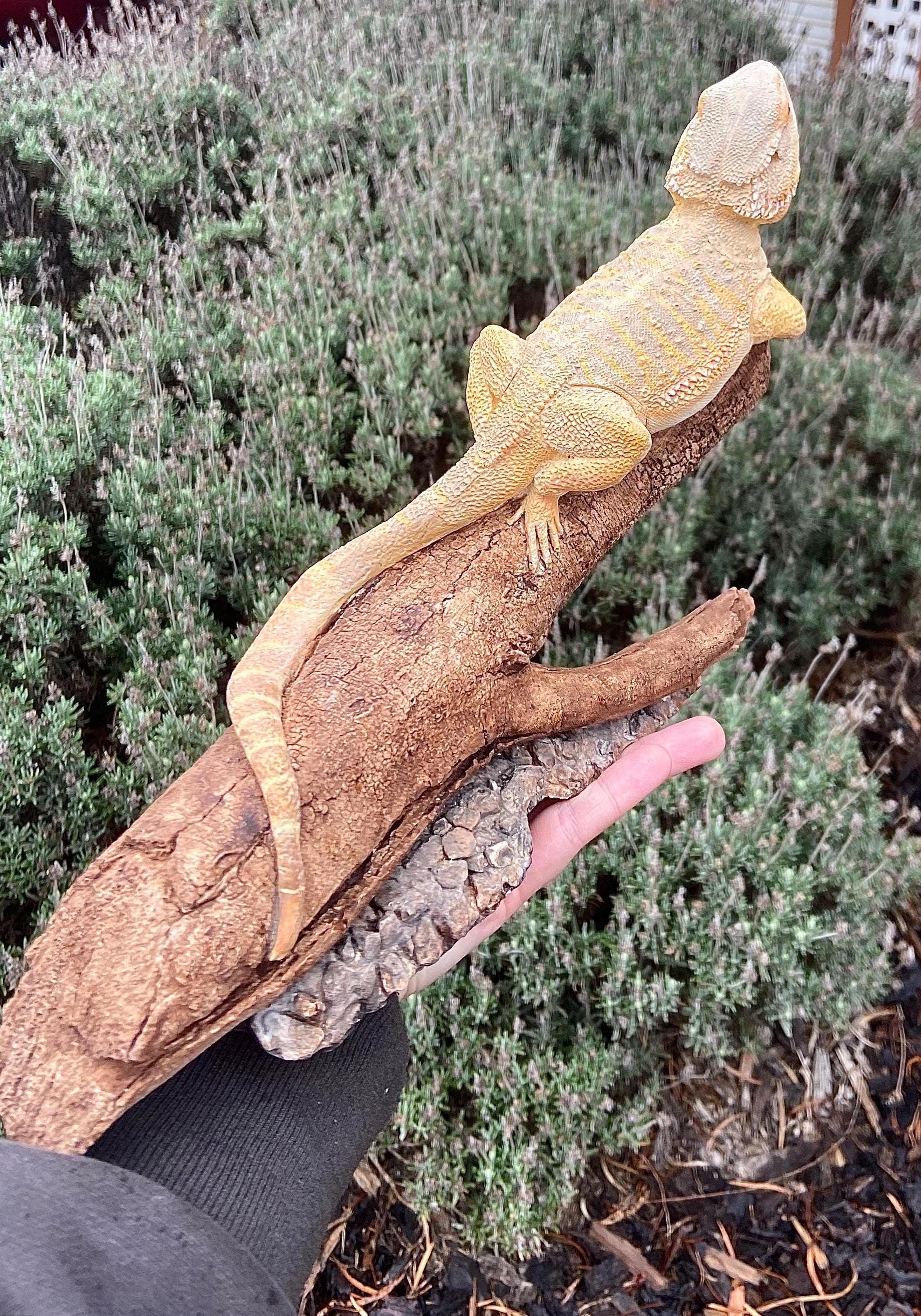 Life Sized Bearded Dragon Memorial Statue, Realistic Lizard Figurine ...