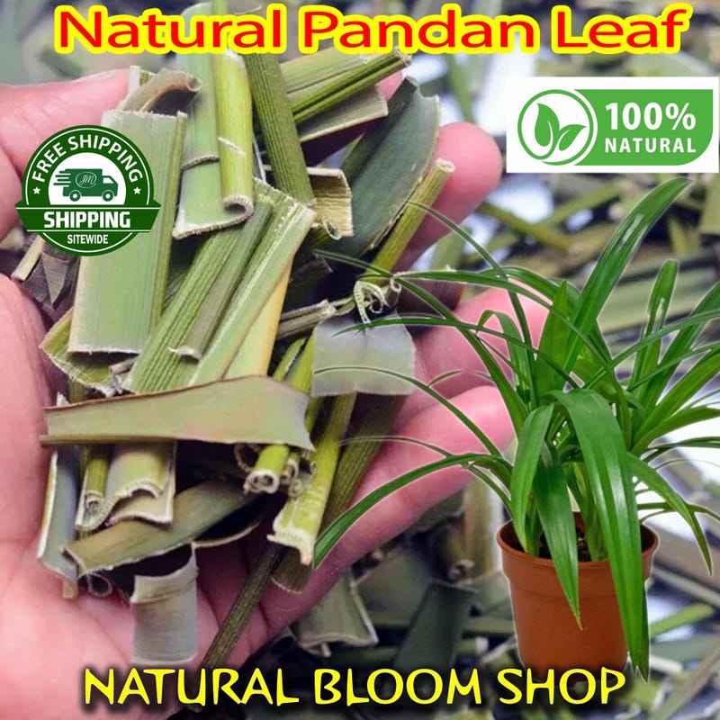 Pandan - Etsy