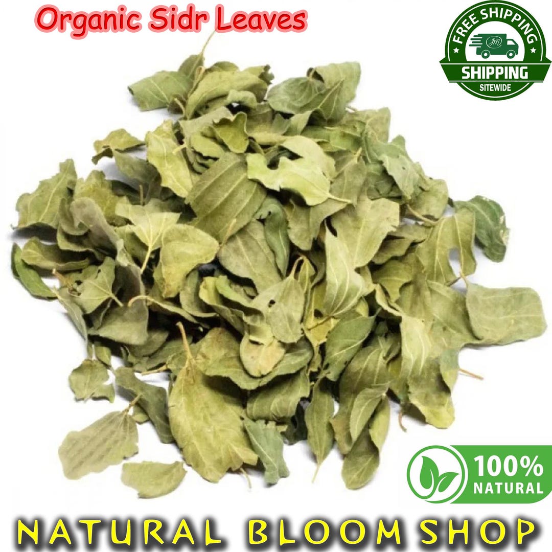 Sidr Leaves, Lote Leaves, Sidr Leaves Organic Sidr Leaves Natural Dried ...