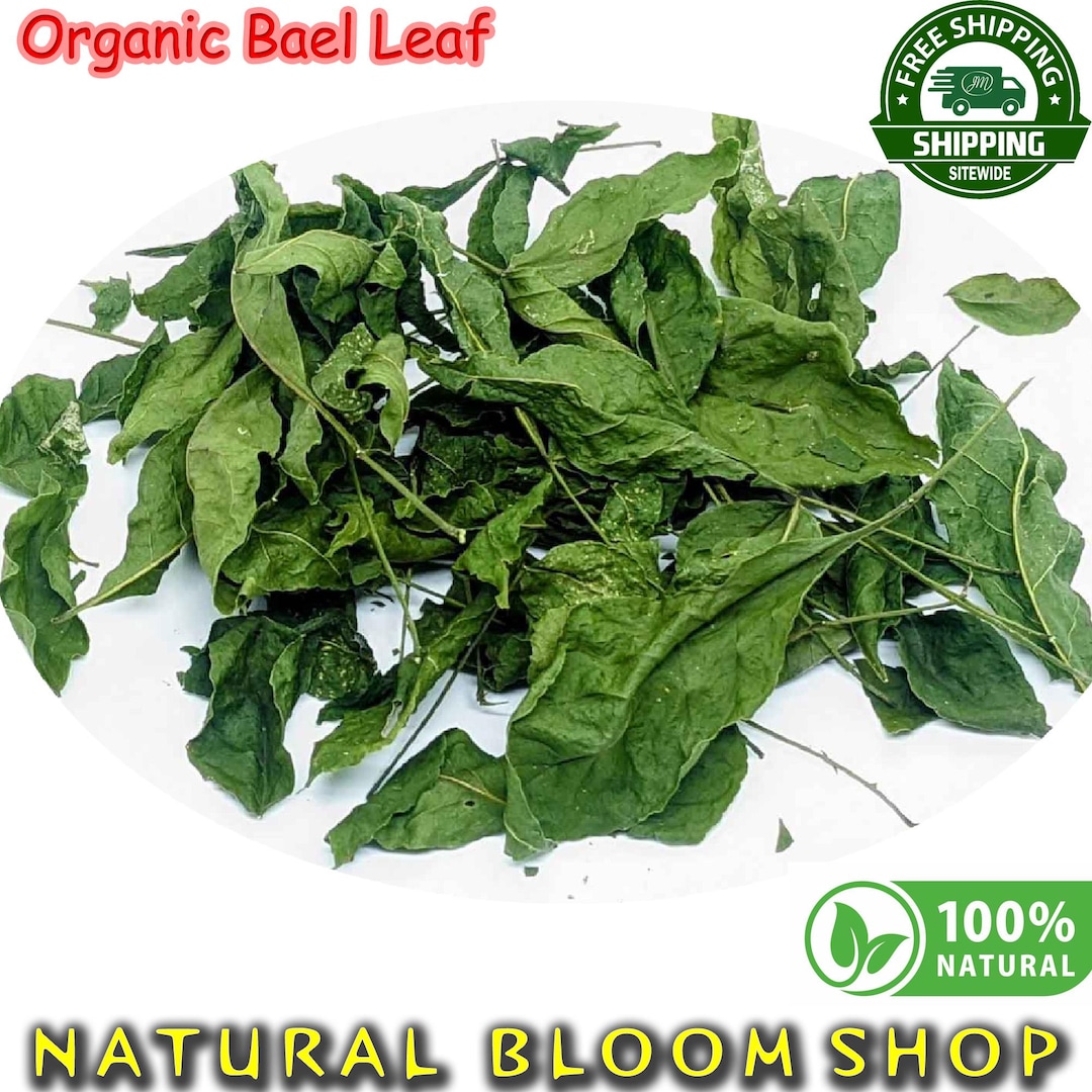Bael Leaf, Bilva Patra, Bael Leaves, Organic Dried Bael Leaves Tea, 100 ...