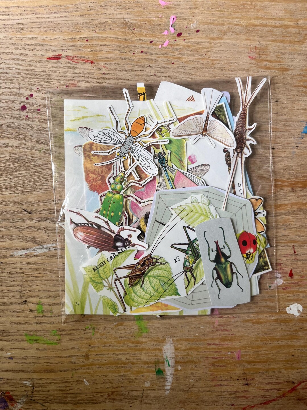 Insect Ephemera Pack – 25+ Vintage Bug Cutouts – Collage, Junk Journal ...