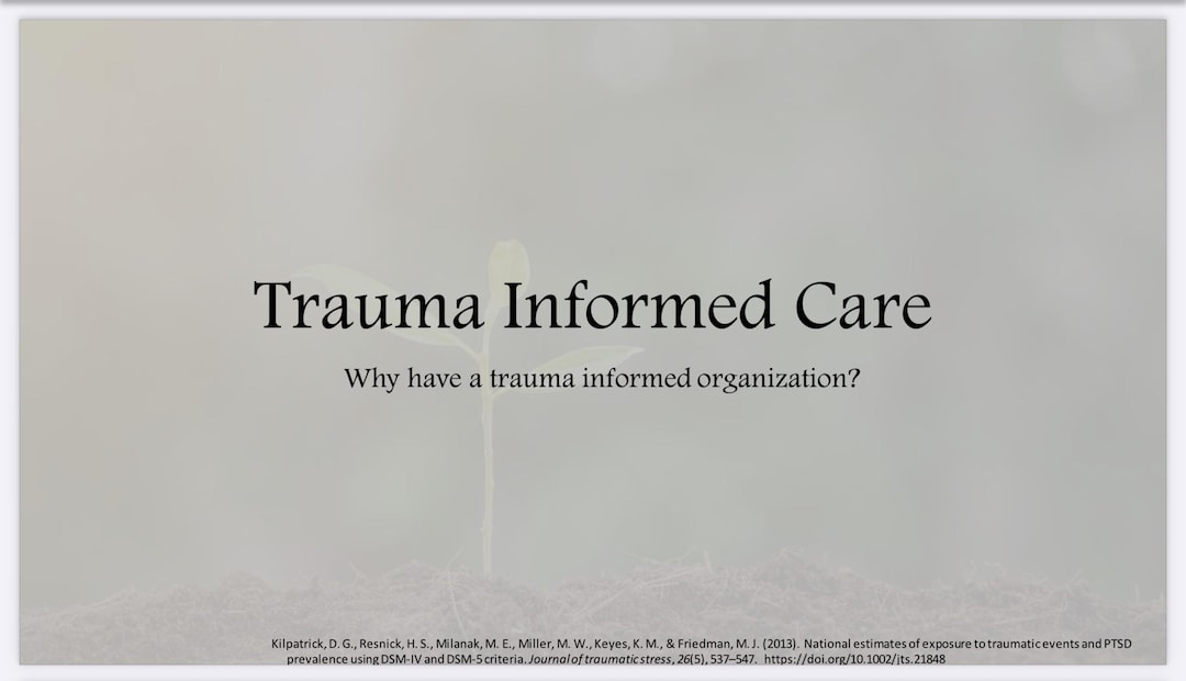 Trauma-informed Care 101: Essential Guide for Mental Health & Education ...