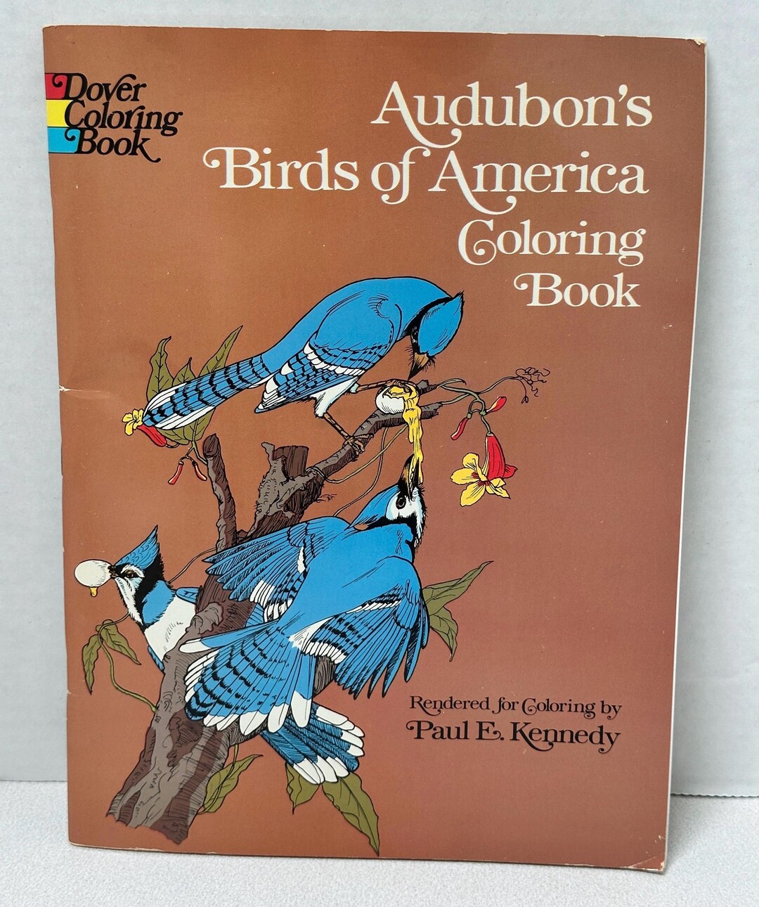 1974 Dover Coloring Book Audubon’s Birds of America - Etsy