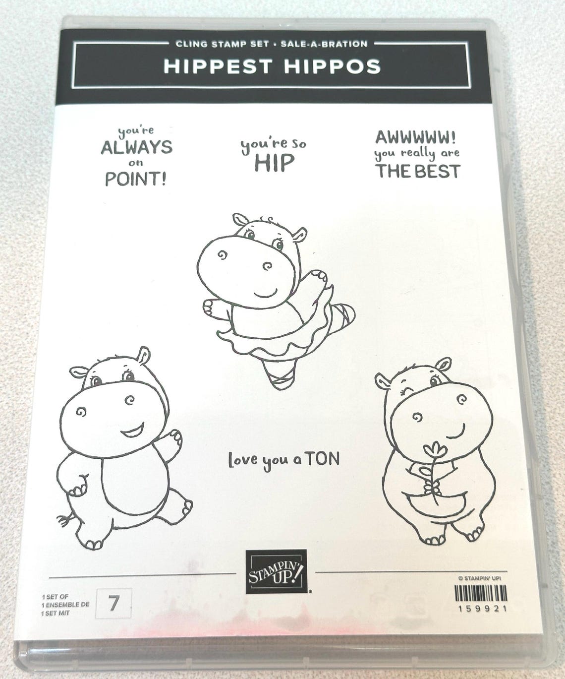 2022 Hippest Hippos Stampin up Set of 7 Hippo and Word Cling Stamps and ...