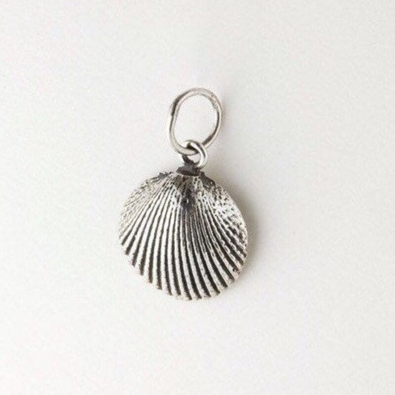 Seashell Charms - Etsy