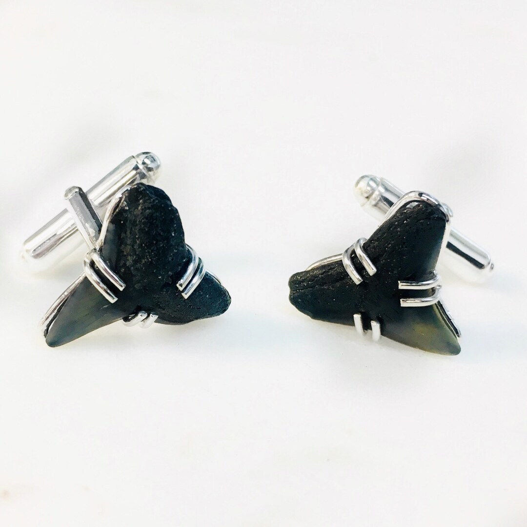 Fossil Shark Tooth Sterling Silver Cufflinks: Handmade Florida Relic ...