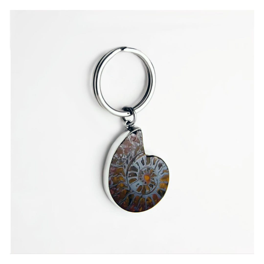 Fossil Ammonite Sterling Silver Key Ring: Natural Gemstone Keychain - Etsy